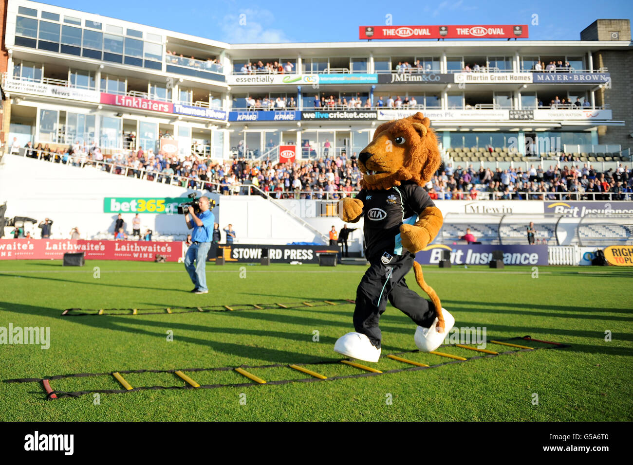 Surrey lions the lion competes in the london derby hi-res stock ...