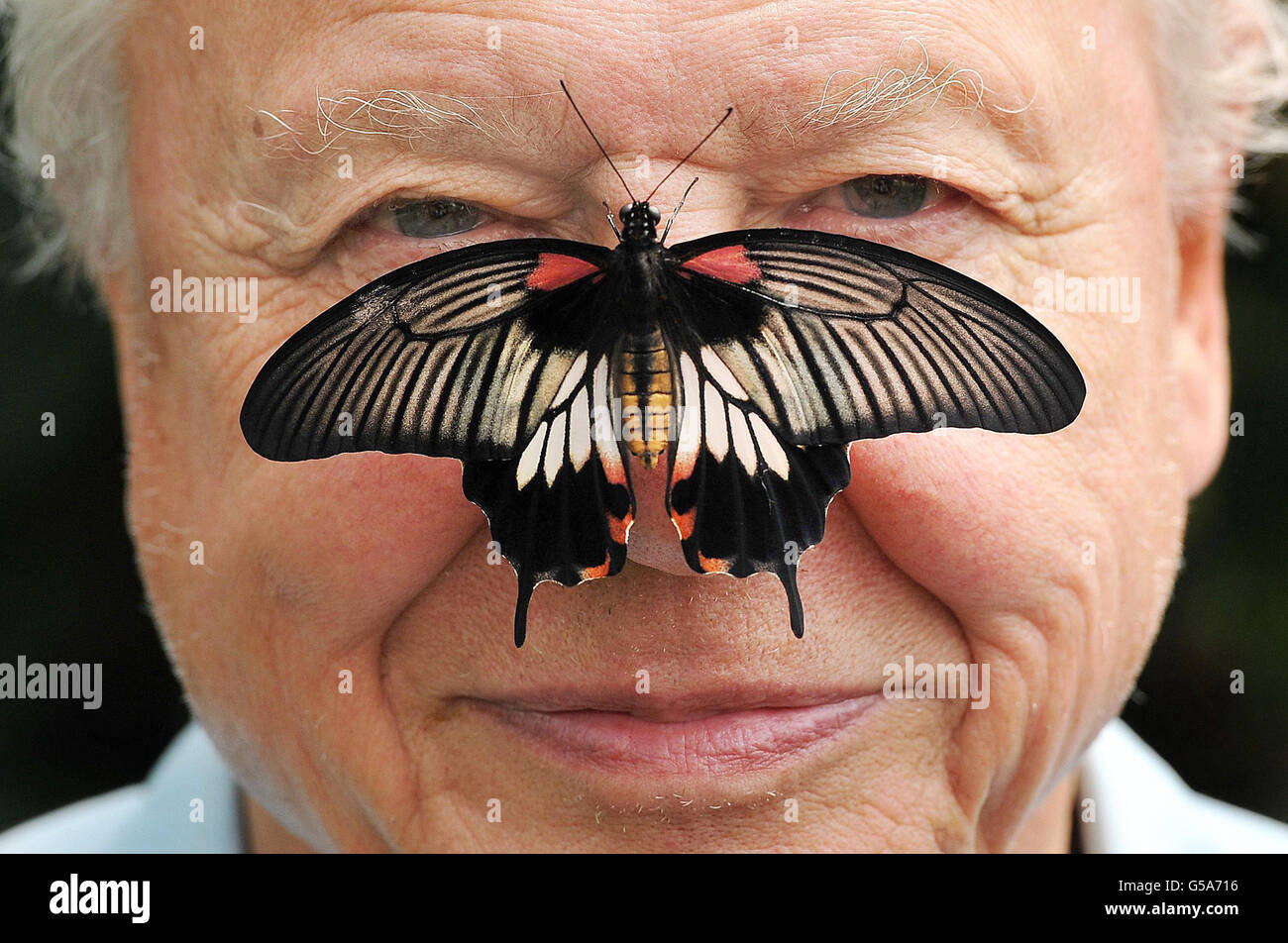 Butterfly Conservation President Sir David Attenborough with a south ...