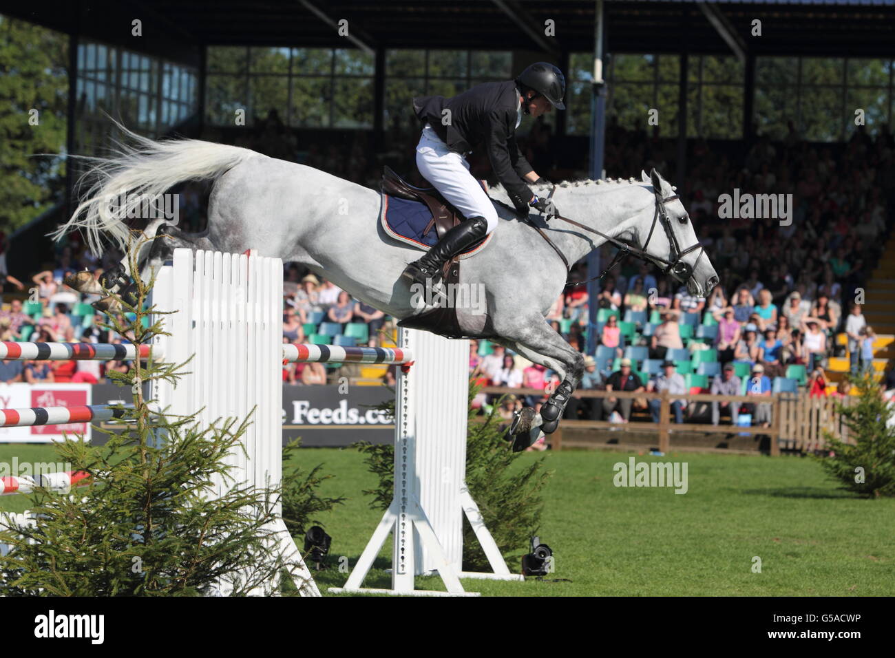 Equestrian - 2012 Longines Royal International Horse Show - Day Six ...