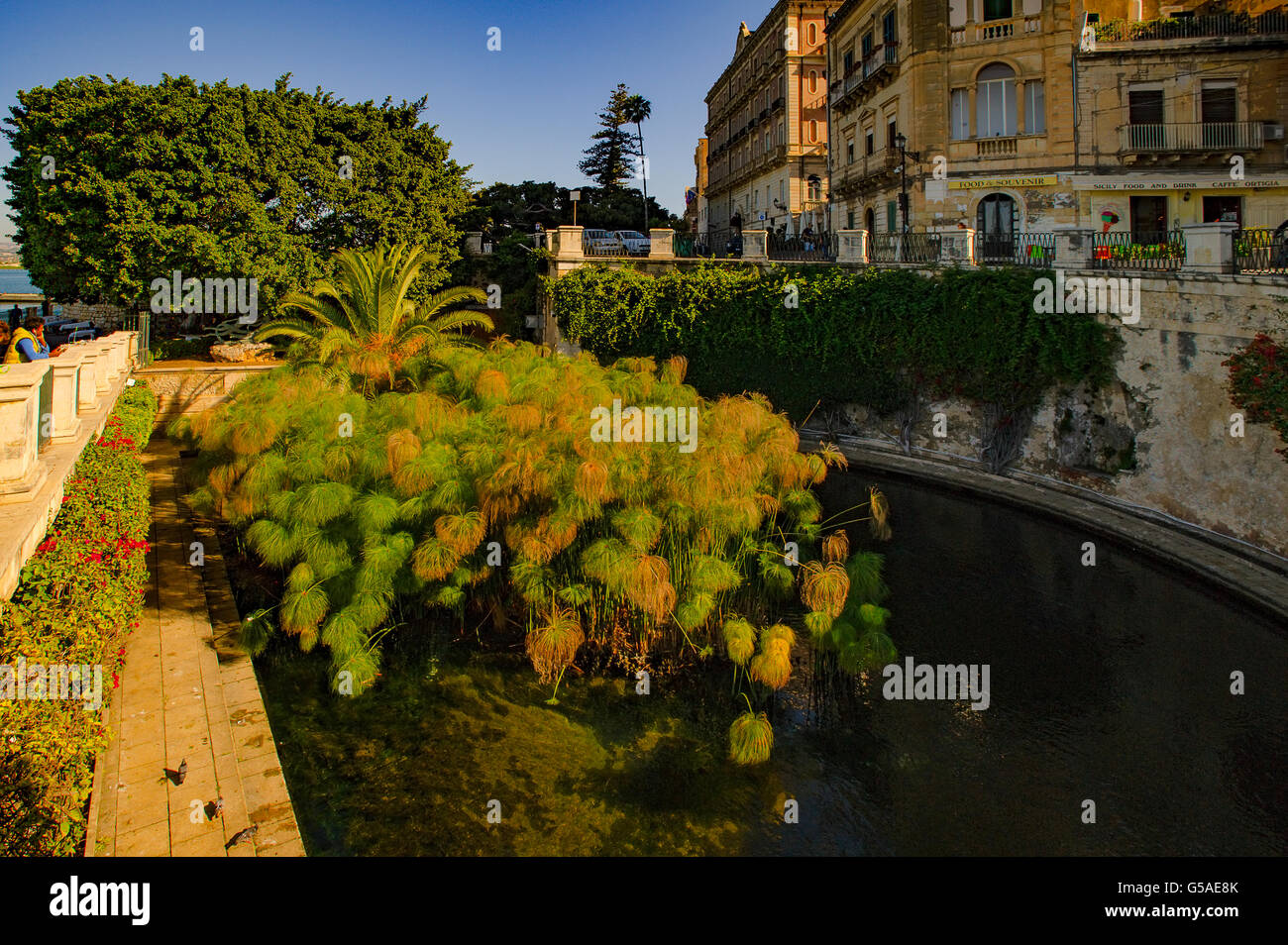 Fonte aretusa, italy hi-res stock photography and images - Alamy