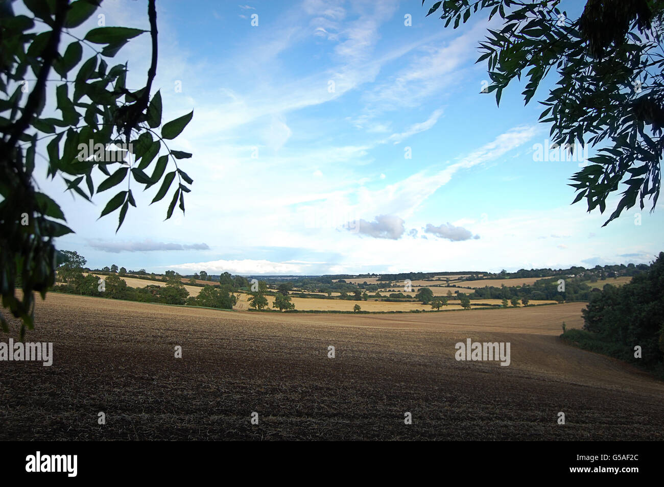 Rolling landscape fields trees hi-res stock photography and images - Alamy