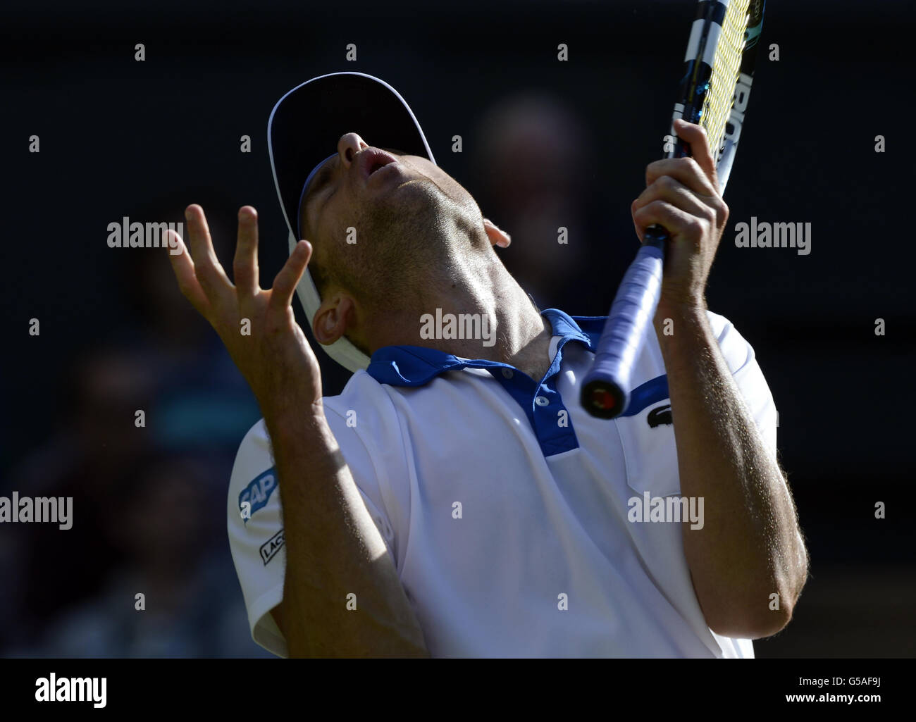 USA's Andy Roddick reacts in his match against Spain's David Ferrer ...