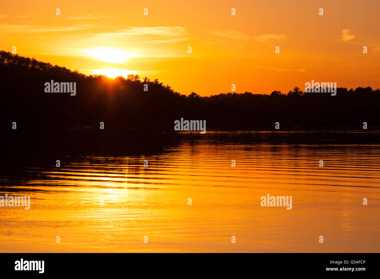 Muskellunge hi-res stock photography and images - Alamy