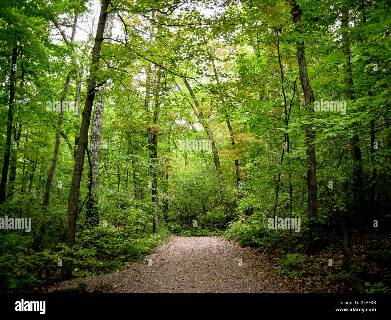 Explore the trail hi-res stock photography and images - Alamy