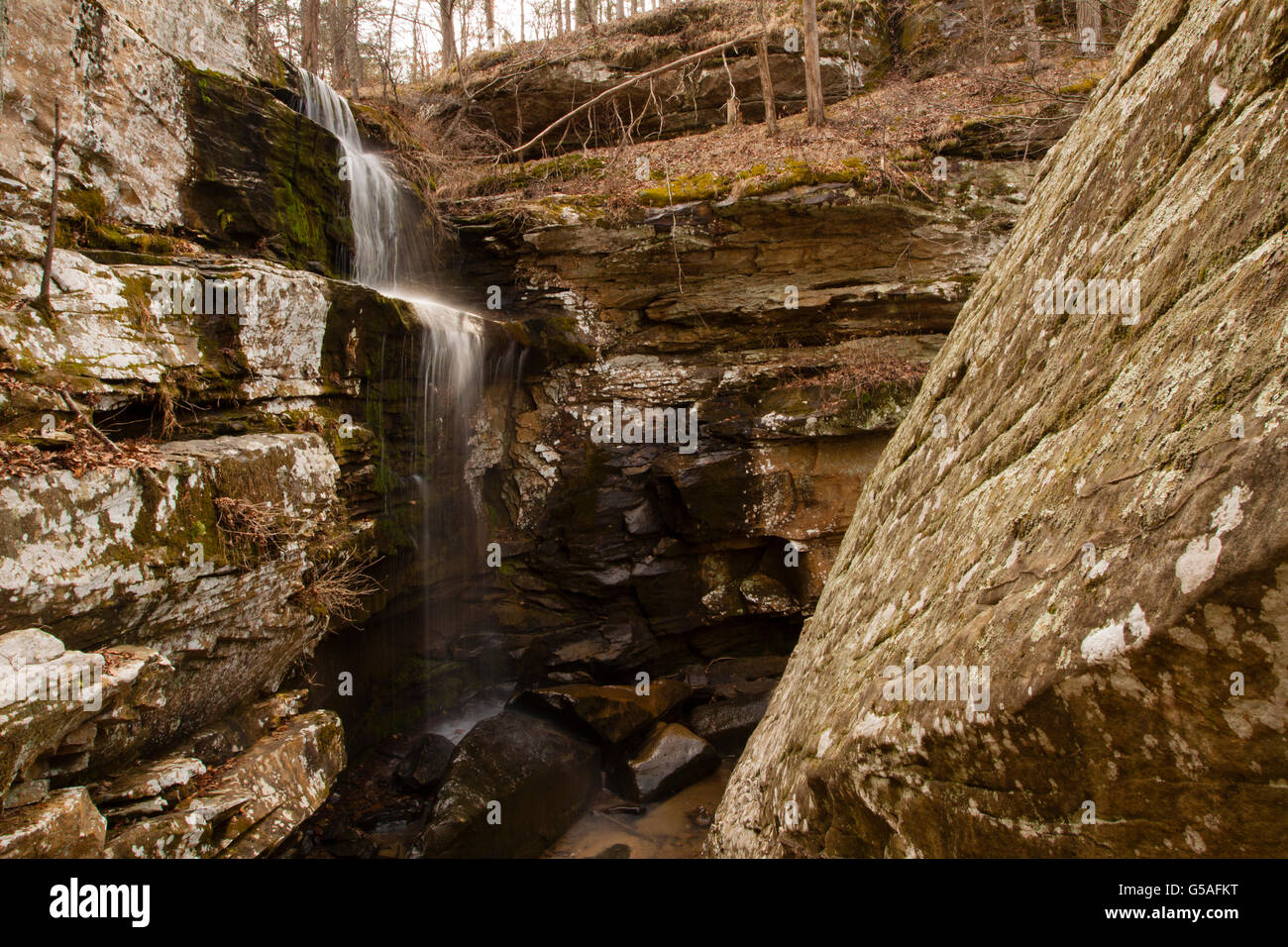 Burden Falls in the Shawnee National Forest Stock Photo - Alamy
