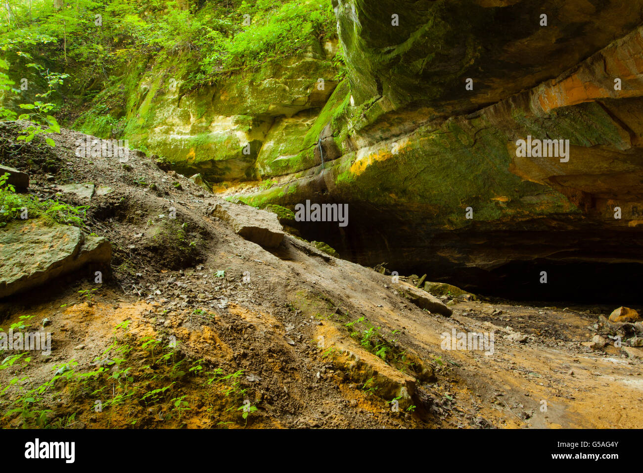 Moss covered rock outcropping hi-res stock photography and images - Alamy