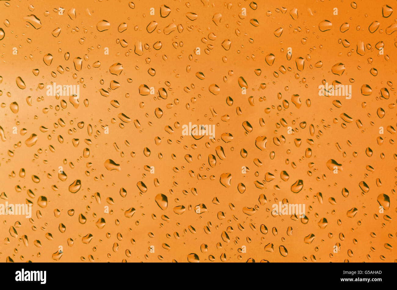 Water droplets on the glass with a colored background. Drops of water ...