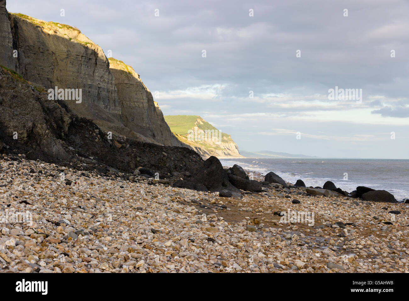 Dark, Black Ven Marl Jurassic mudstone rockfall under Stonebarrow Hill ...