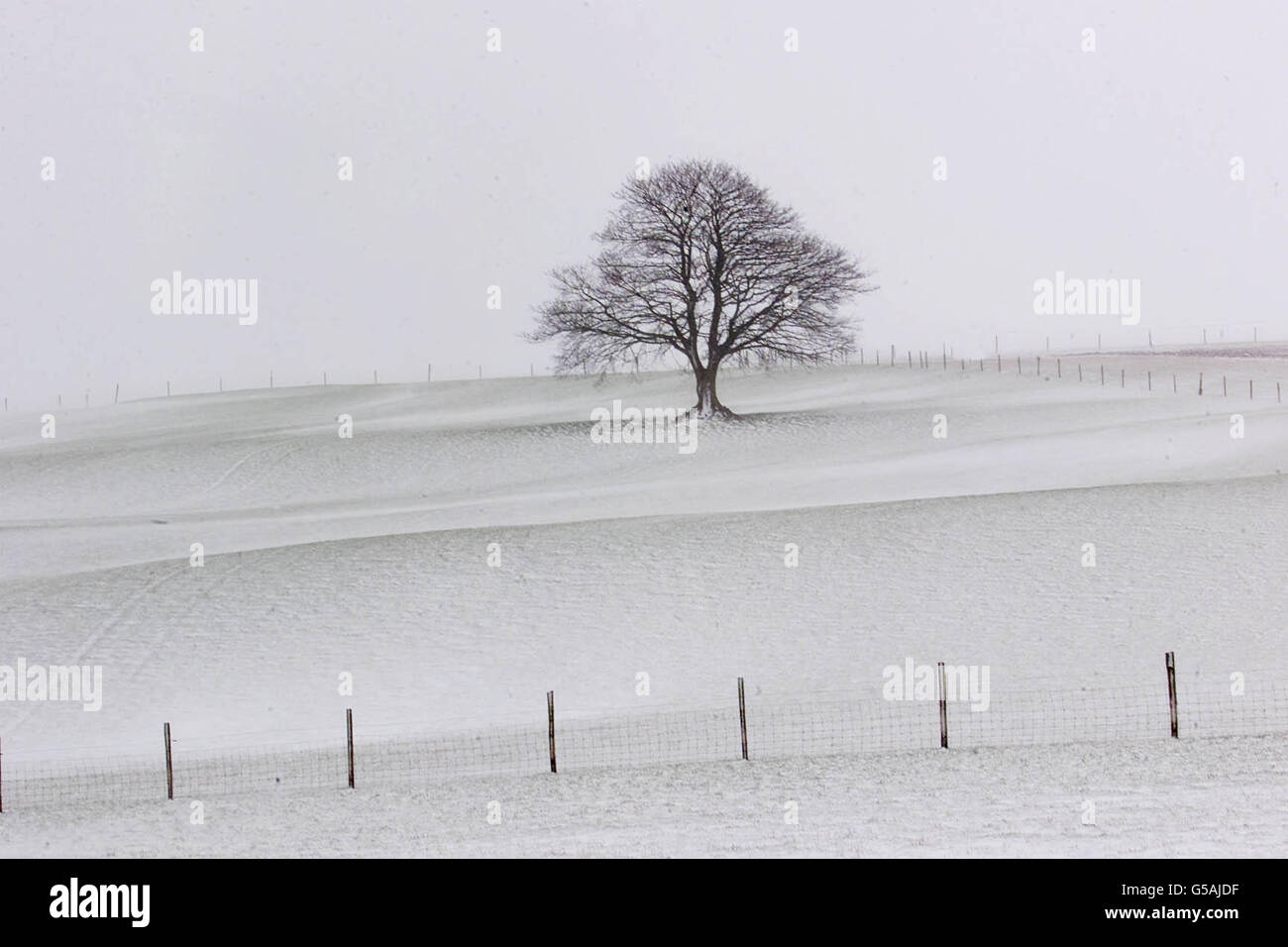 Snow Wicklow Ireland Stock Photo - Alamy