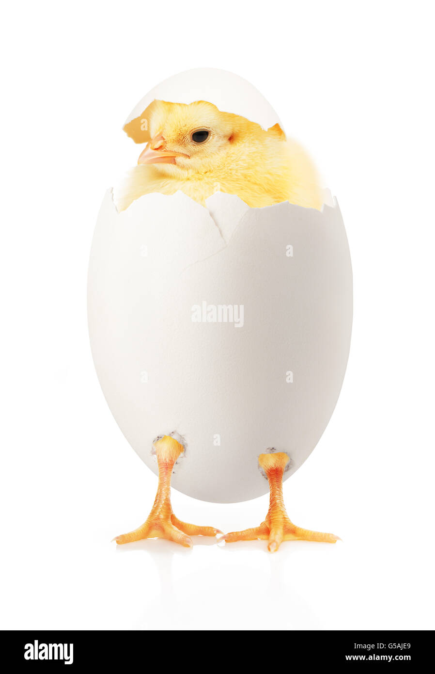 Traditional small farm in Cut Out Stock Images & Pictures - Alamy