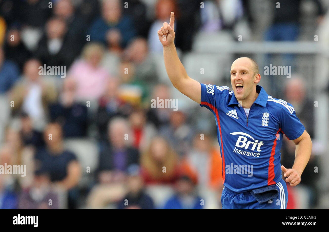 England's James Tredwell celebrates taking the wicket of Australia's ...