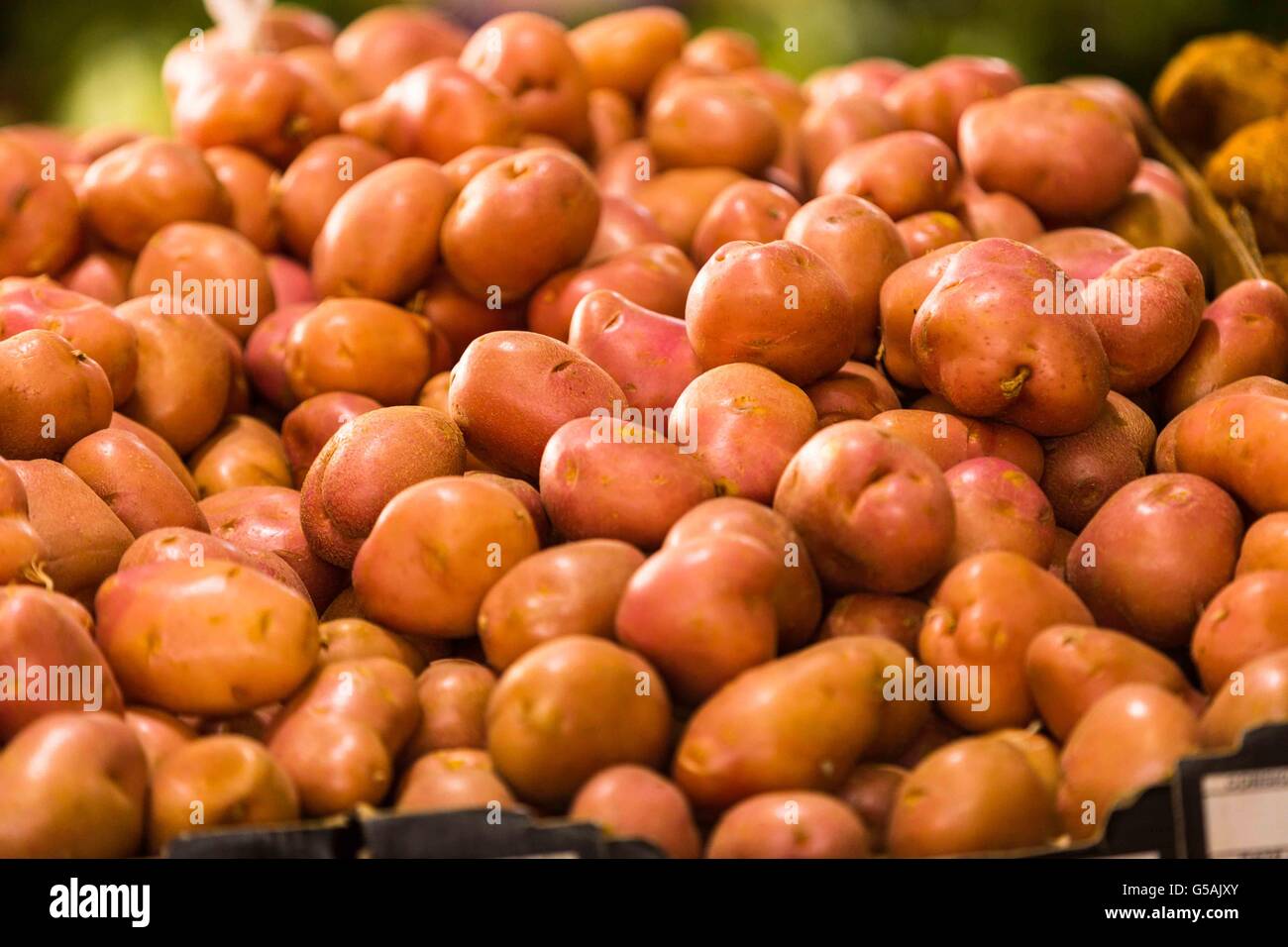 Victorian pile hi-res stock photography and images - Alamy