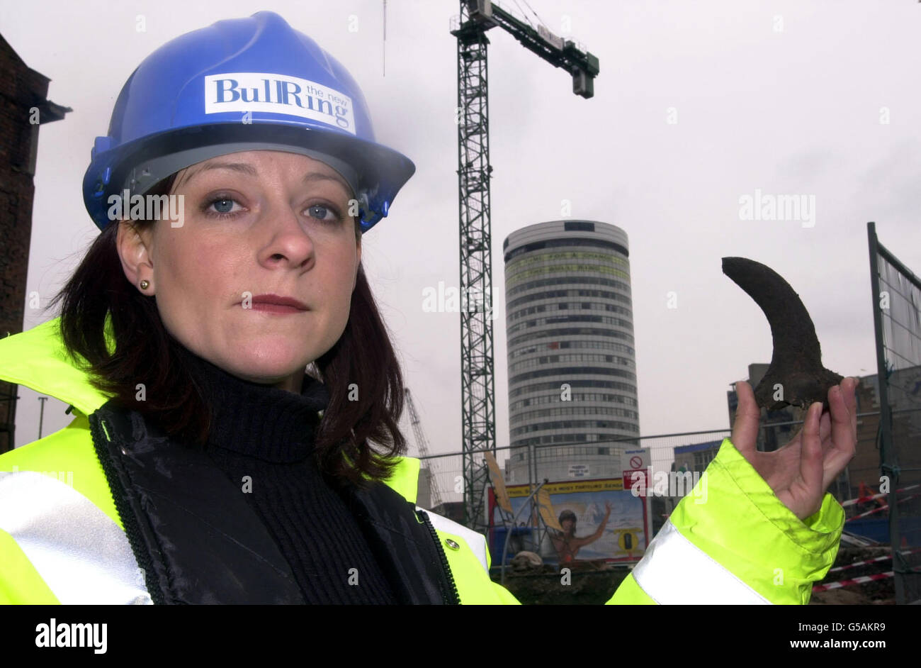 Bull belonging hi-res stock photography and images - Alamy