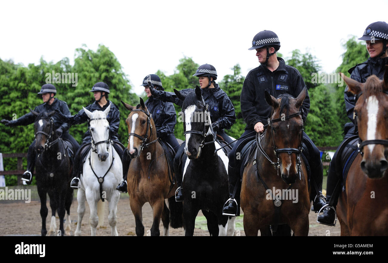 Mounted section hi-res stock photography and images - Alamy