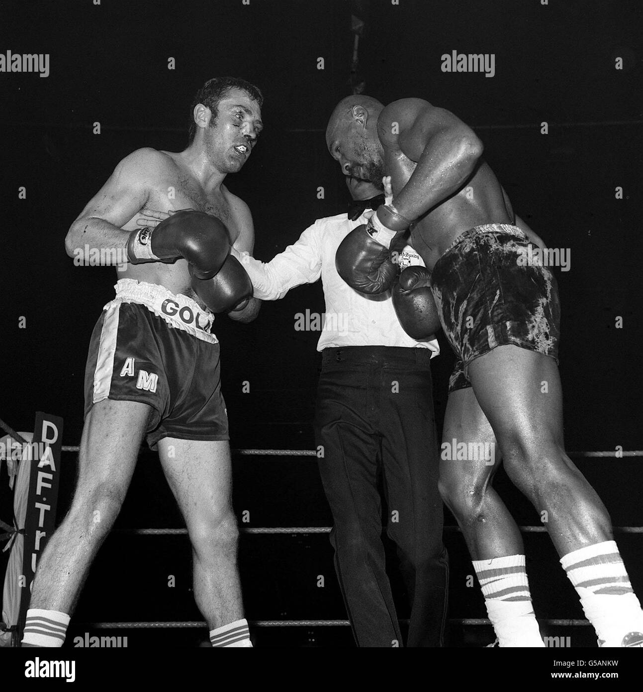 British boxer Alan Minter (L) is stopped in the third round by referee ...