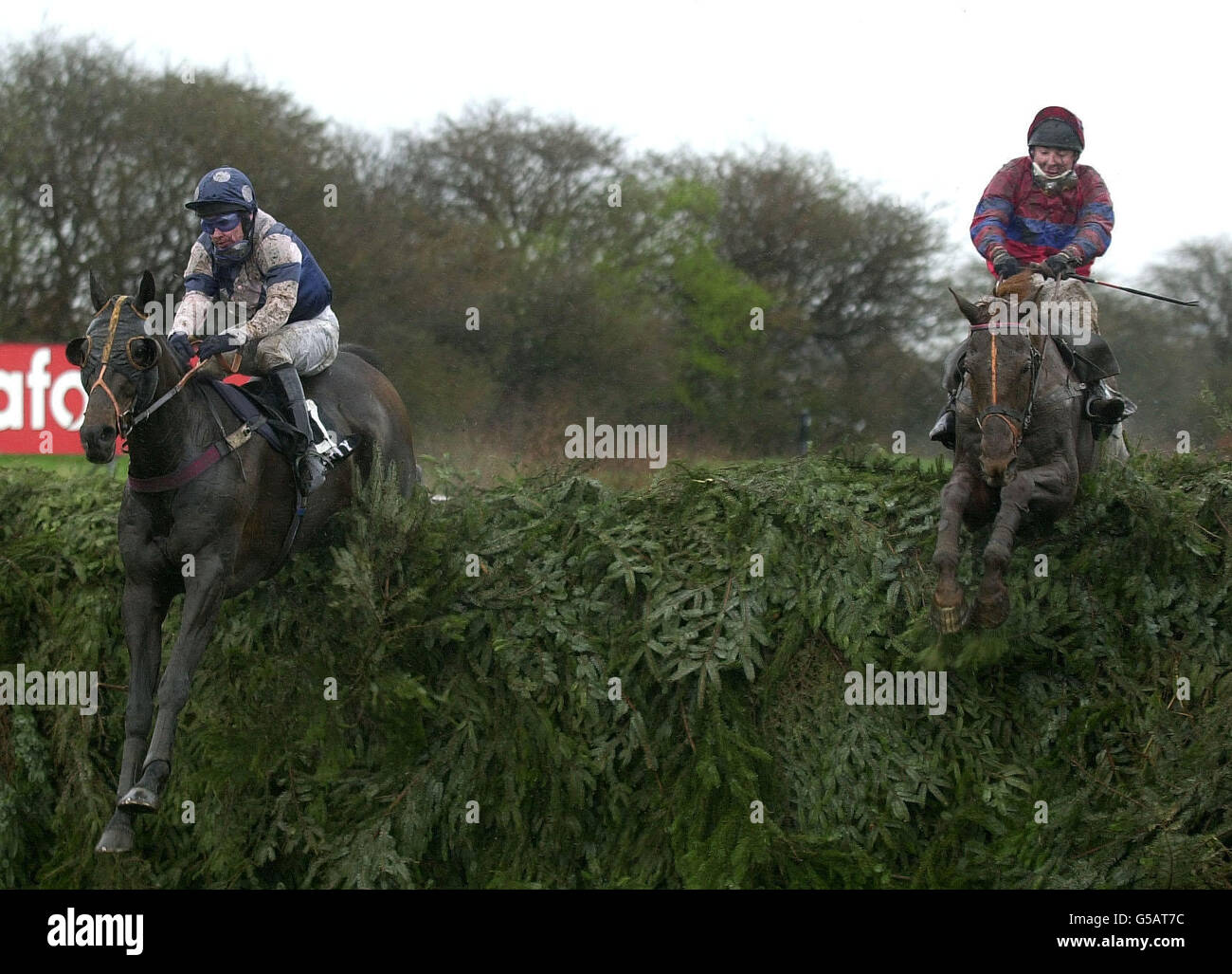 Smarty (left) and Red Marauder leap the final open ditch before home ...