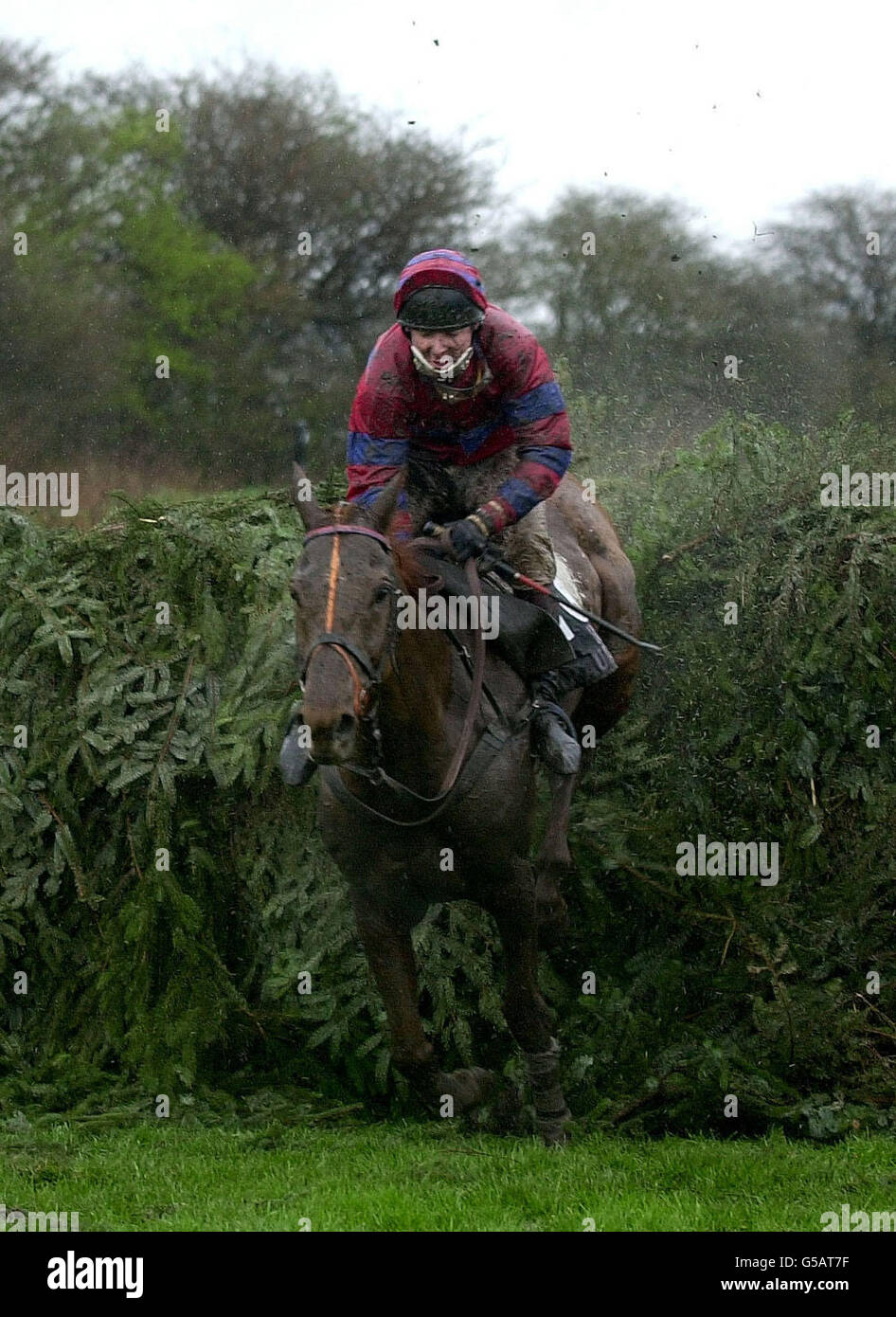 Open ditch racecourse hi-res stock photography and images - Alamy