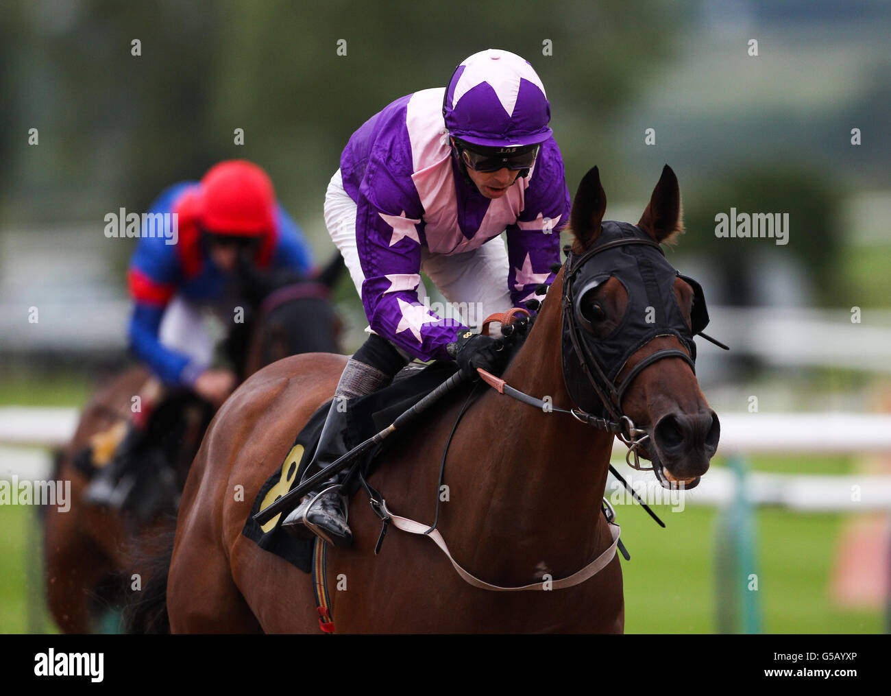 Chov hi-res stock photography and images - Alamy