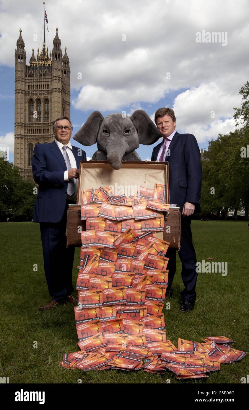 Ivory trade call Stock Photo - Alamy