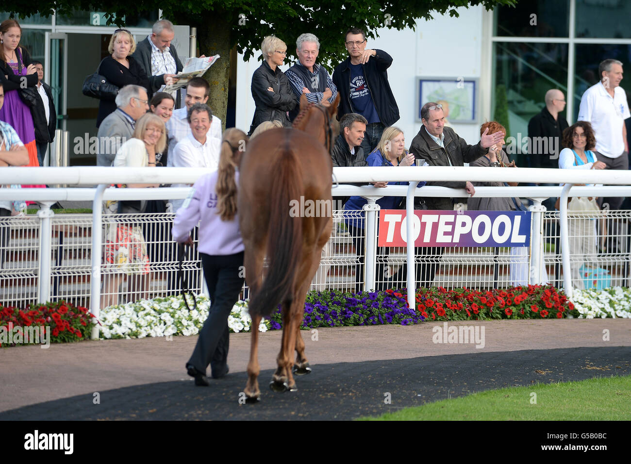 Races downs totepool signage hi-res stock photography and images - Alamy
