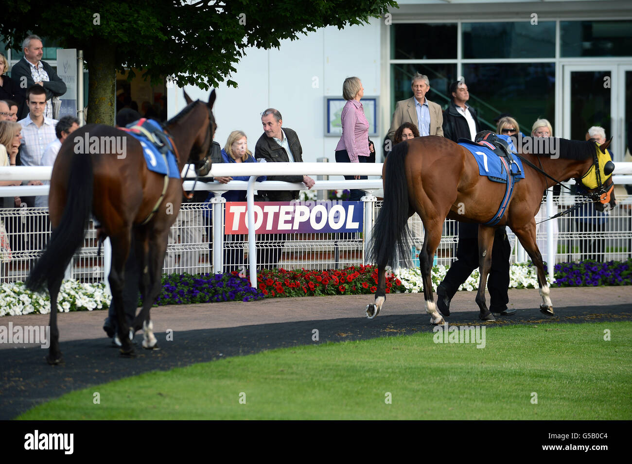 Races downs totepool signage hi-res stock photography and images - Alamy