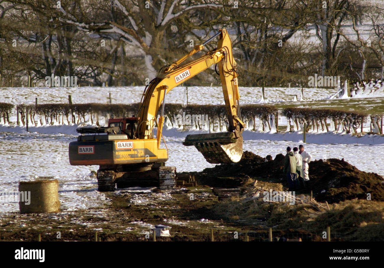 Trenches to destroy animals Stock Photo - Alamy