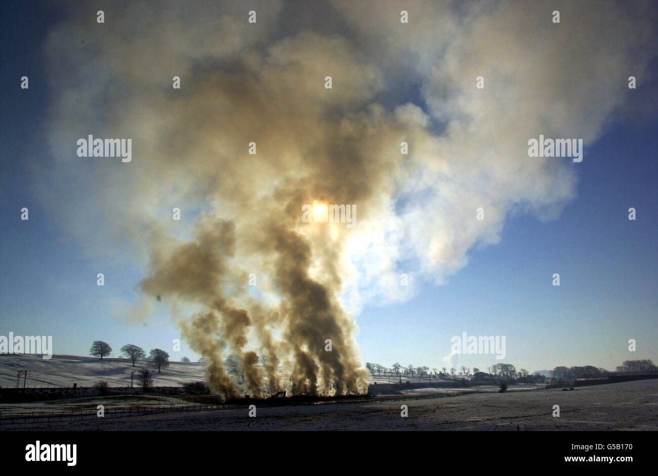 The pyre containing livestock continues to burn on the Netherplace farm ...