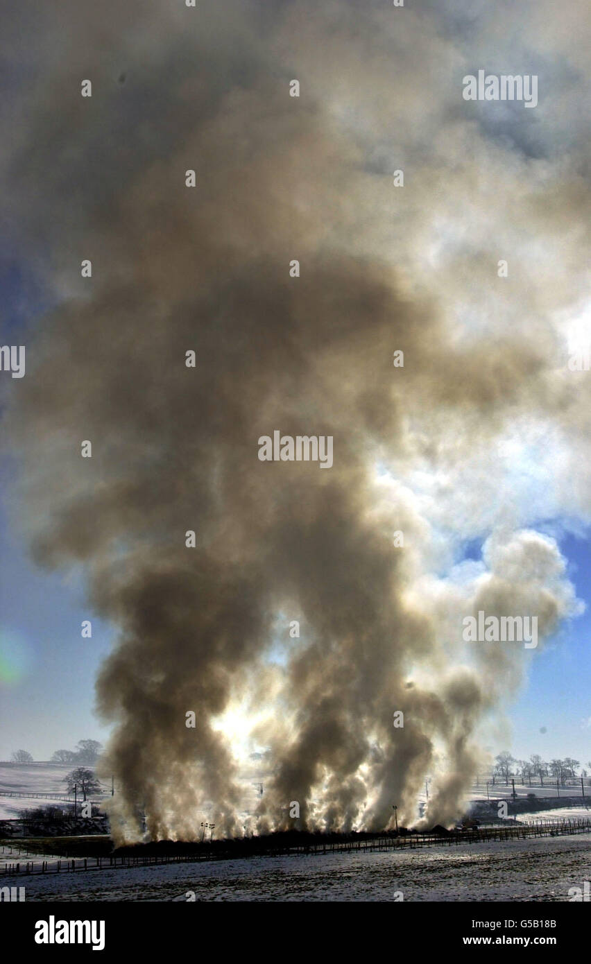 The pyre containing livestock continues to burn on the Netherplace farm ...