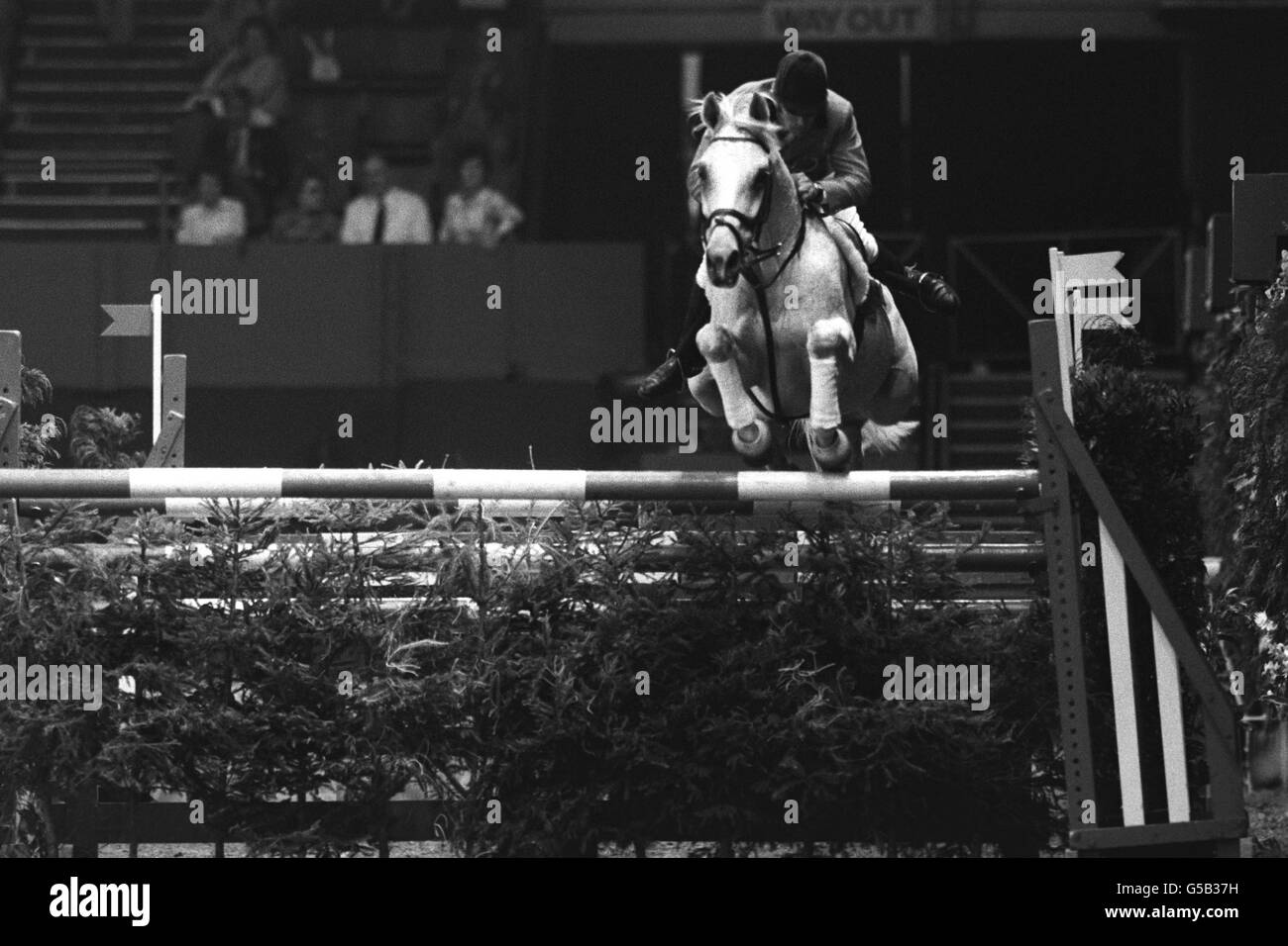 Equestrian sport showjumping Black and White Stock Photos & Images - Alamy