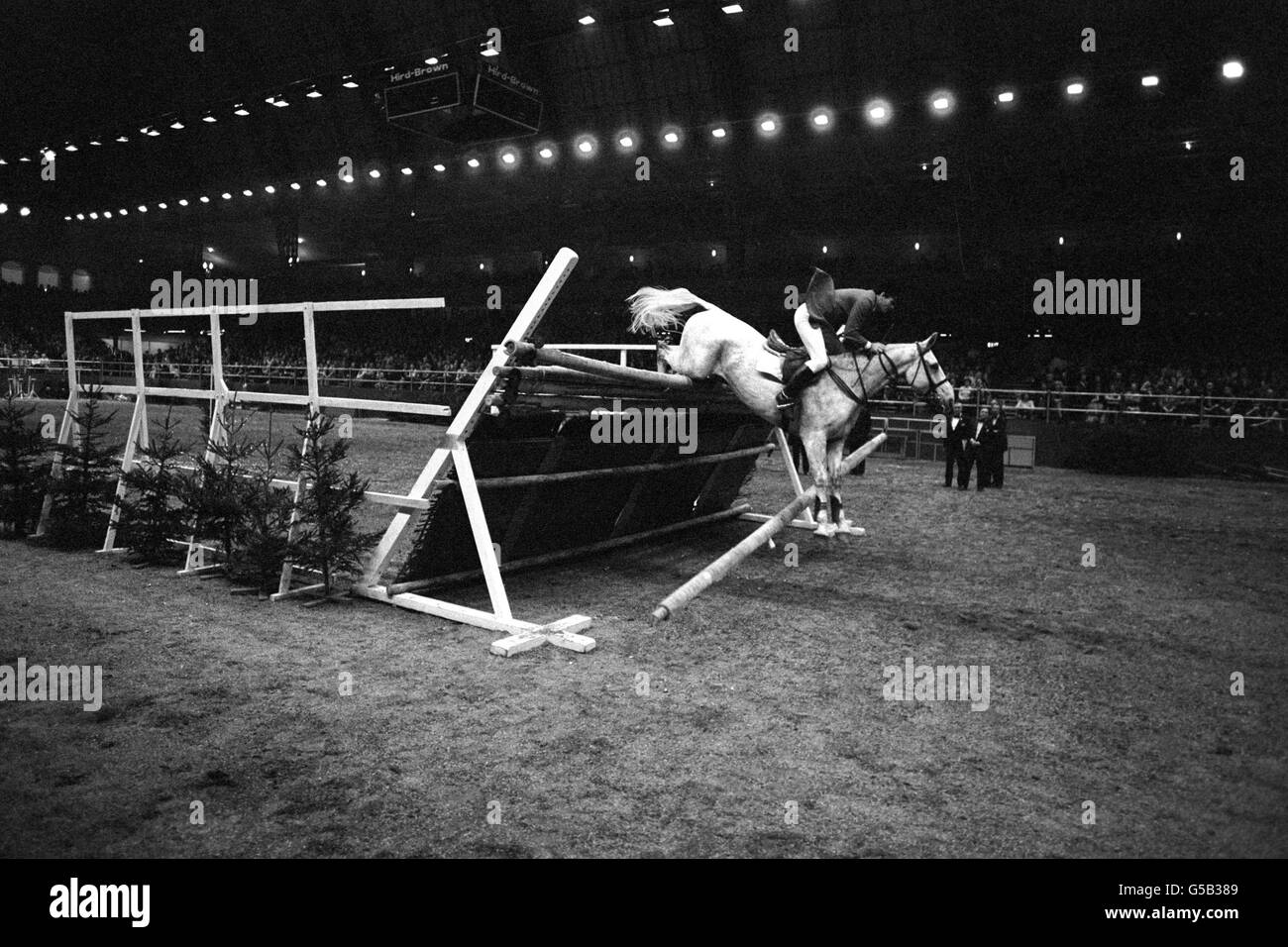 Show jumper Harvey Smith fails in his attempt to break the 40 year old ...