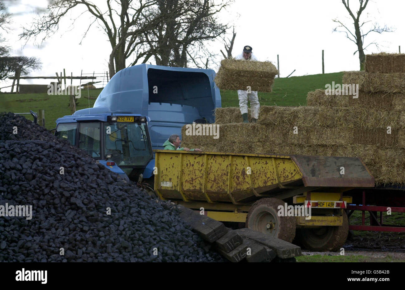 Animal disease coal hay hi-res stock photography and images - Alamy