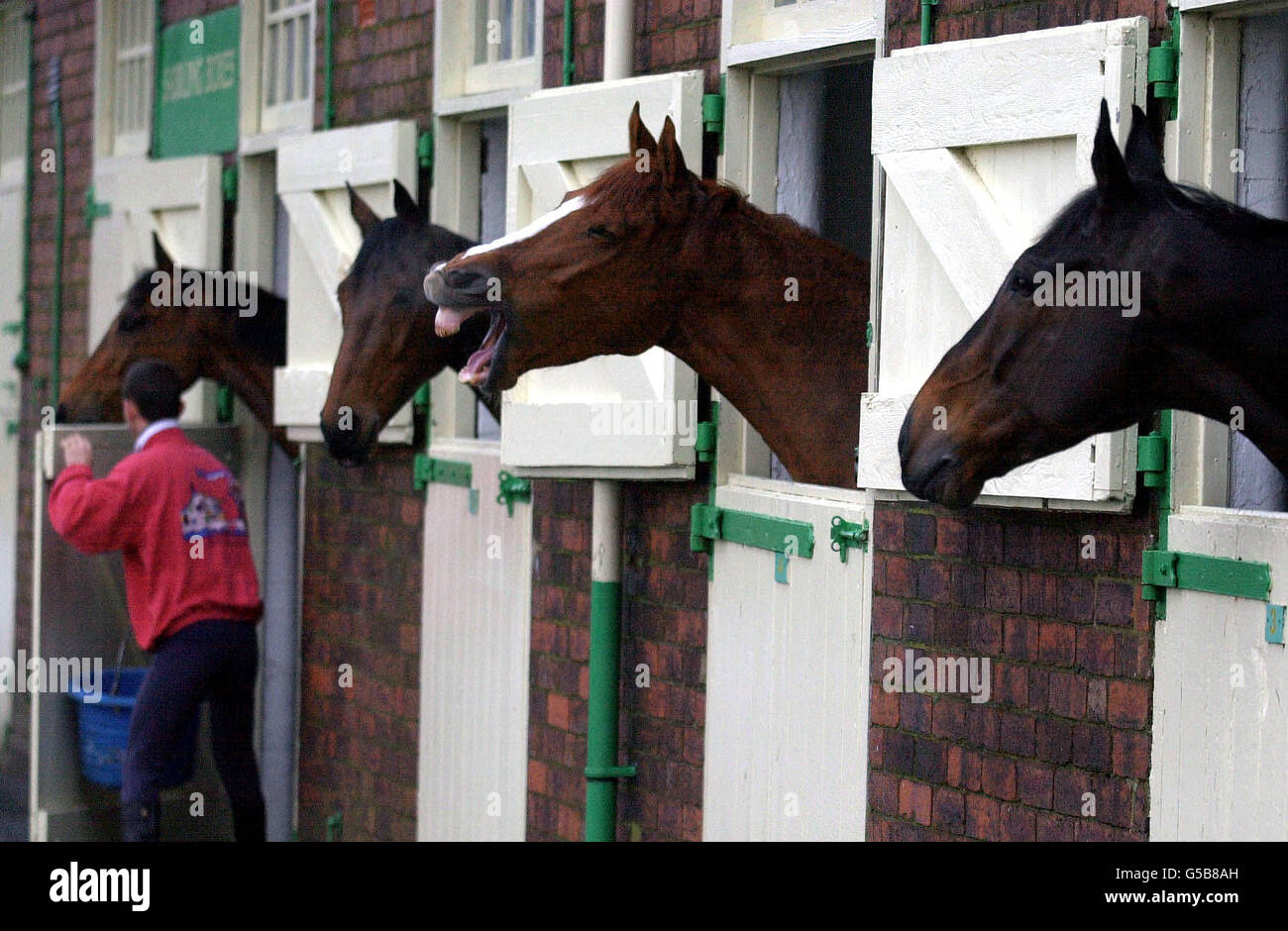 French horseracing hi-res stock photography and images - Alamy