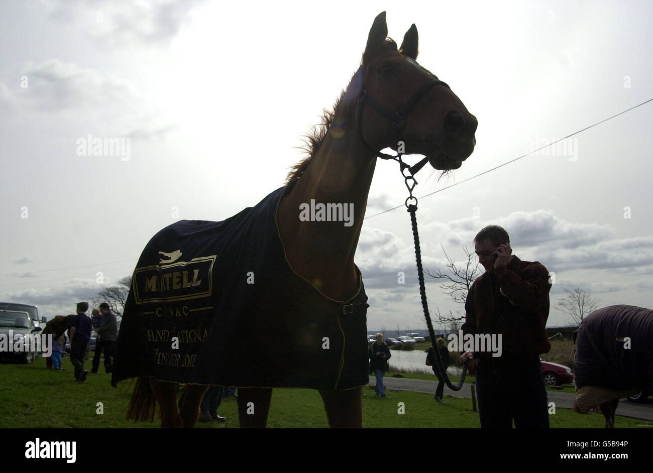 The Winner of the Grand National Red Marauder at the brancepeth manor ...