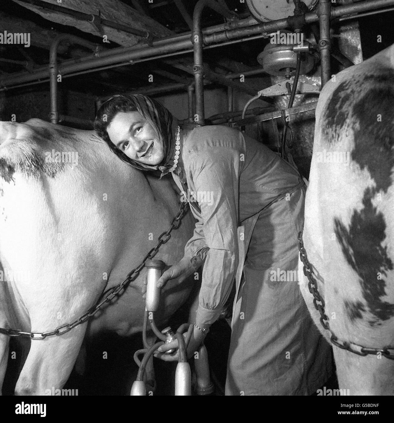 Social farming Black and White Stock Photos & Images - Alamy