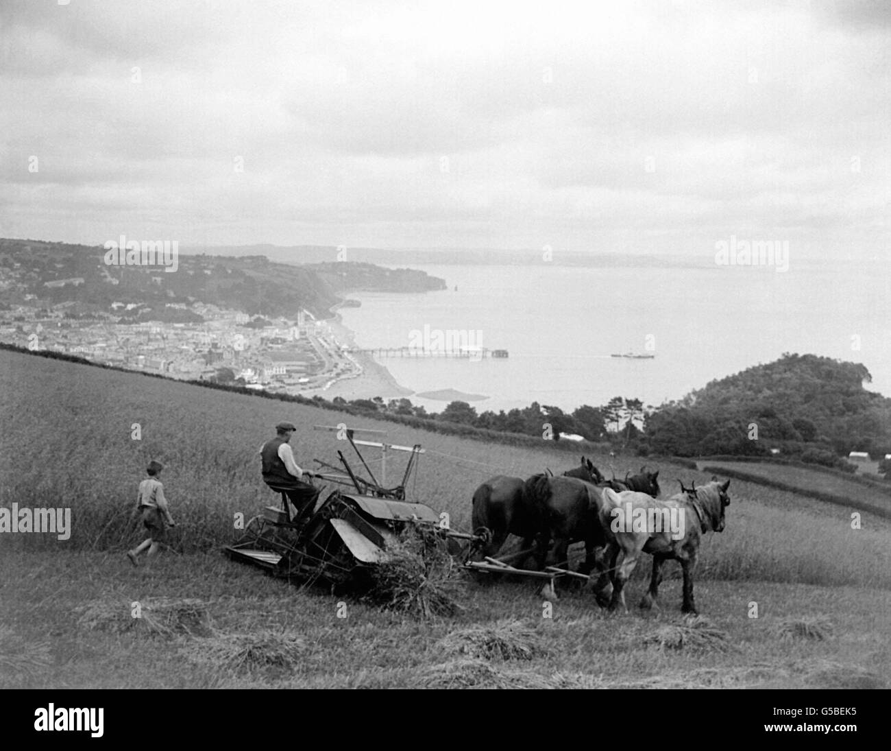 Horse drawn reaper hi-res stock photography and images - Alamy
