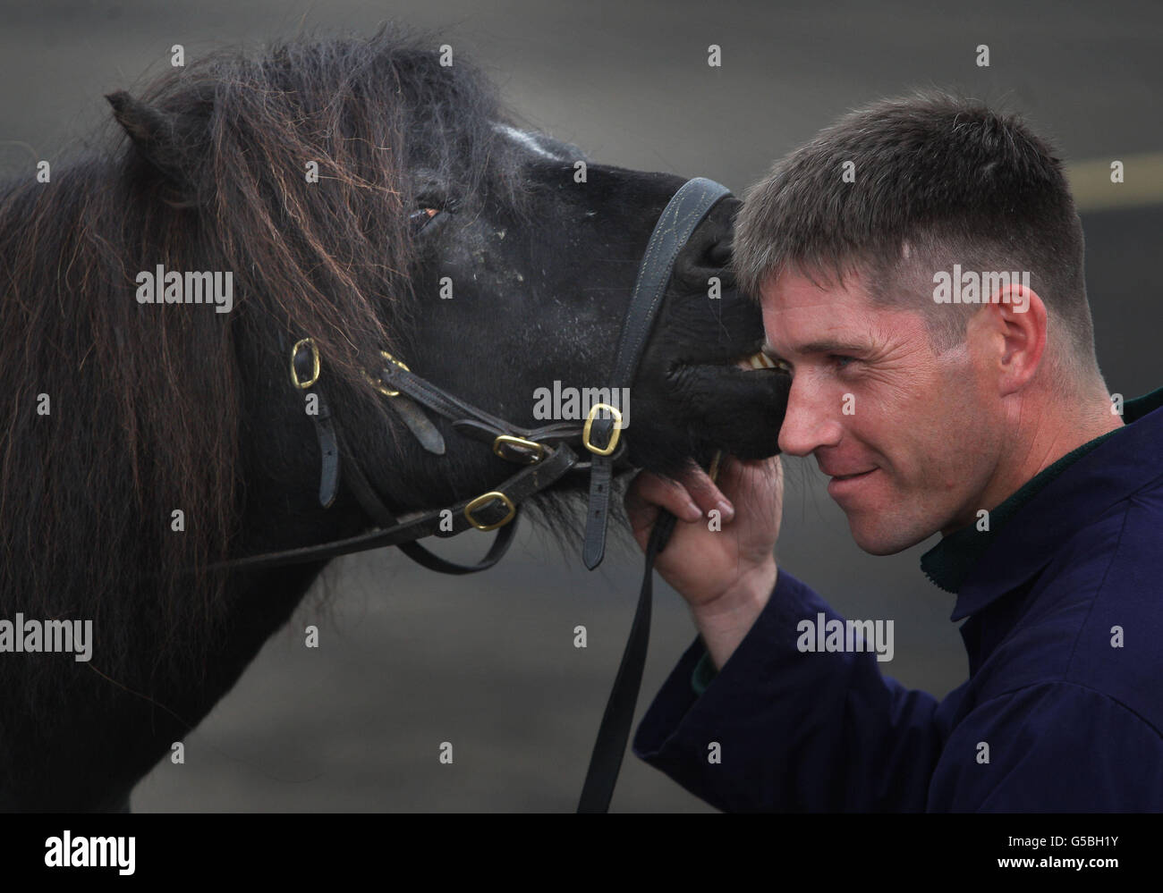 Pony major joseph walker with cruachan iii hi-res stock photography and ...