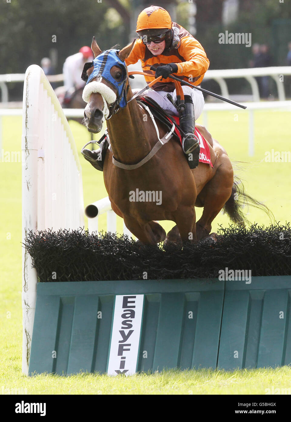 Novarov,with David Splaine jumps the last on their way to winning the ...