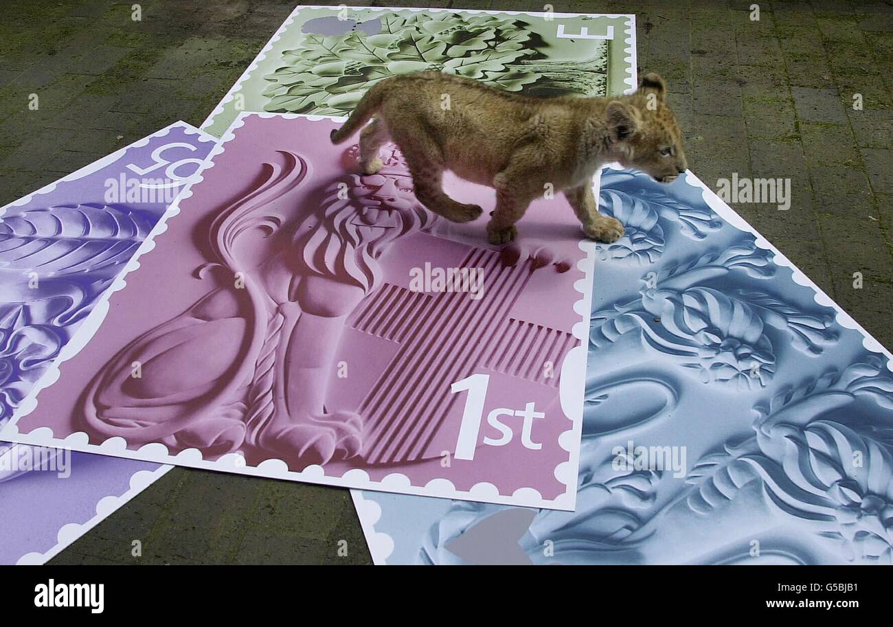 Lion cub Ben gets a sneak preview of the St. George's Day issue of new ...