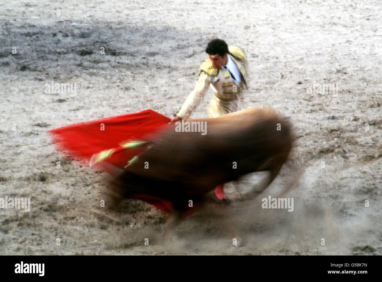 Bullfight in northern Portugal. Blurry, cape and bull Stock Photo - Alamy