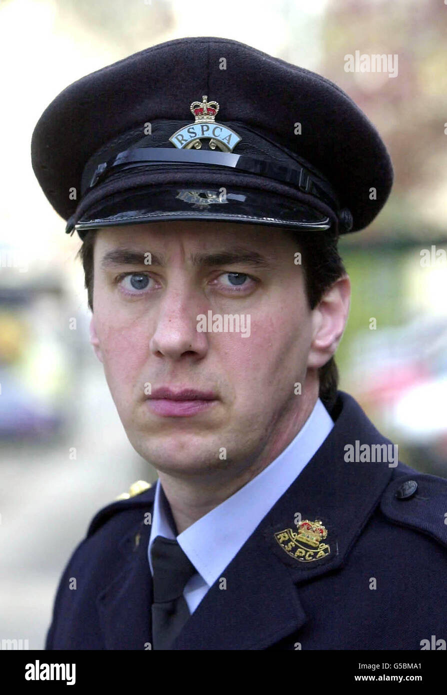 Welfare rspca hi-res stock photography and images - Alamy