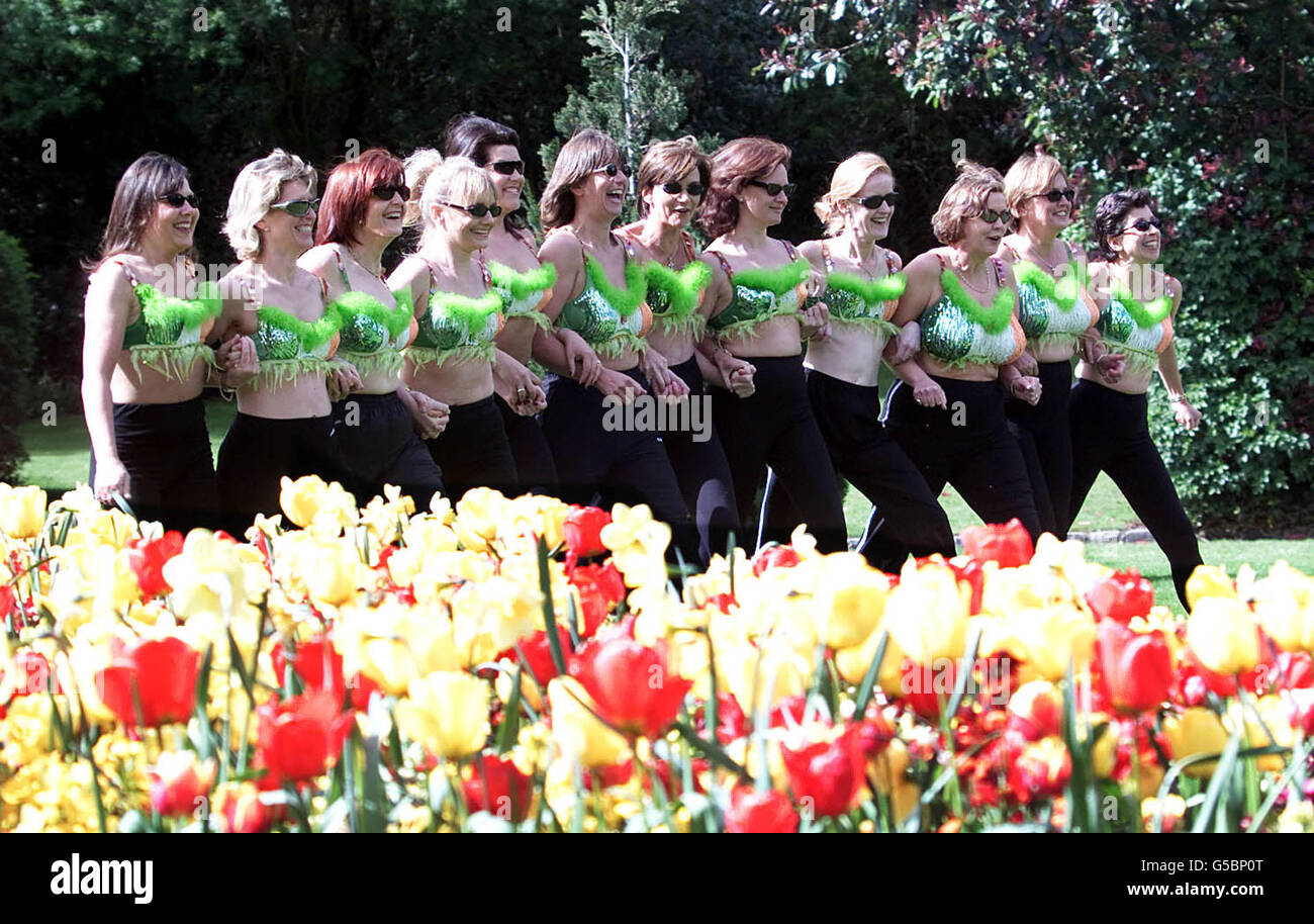 Irish women - who have all survived breast cancer, display the ...