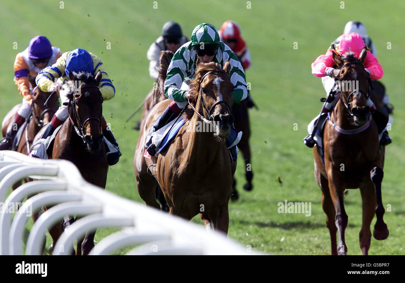 Newmarket Races Cayman Sunset Stock Photo - Alamy
