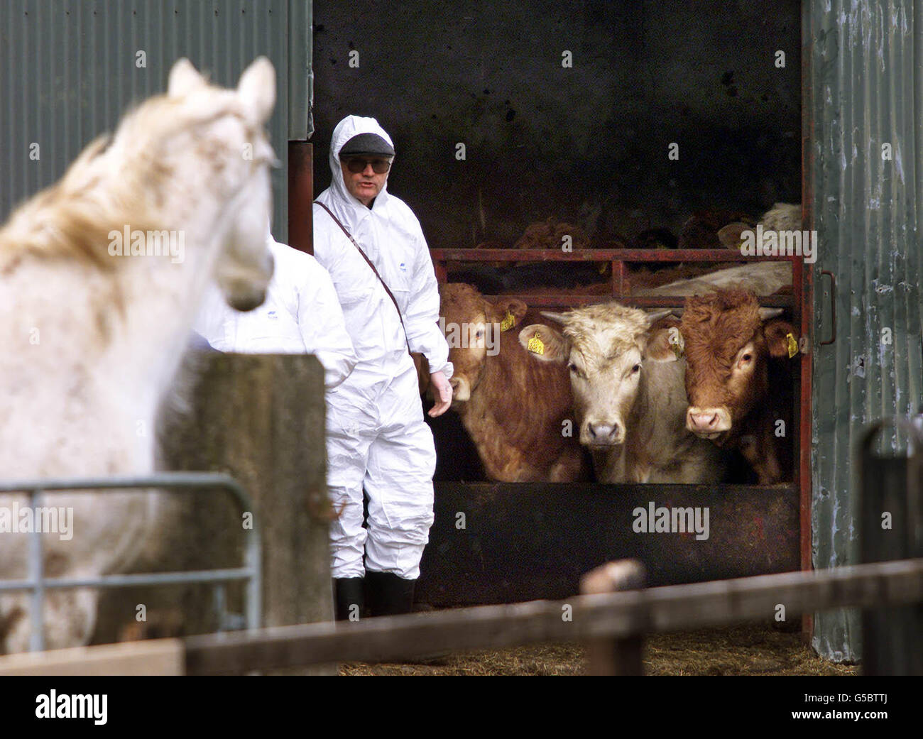 Culled animal hi-res stock photography and images - Alamy