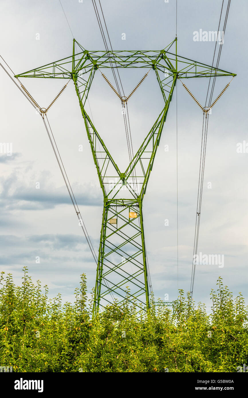 pylons for the distribution of electricity in high voltage Stock Photo ...