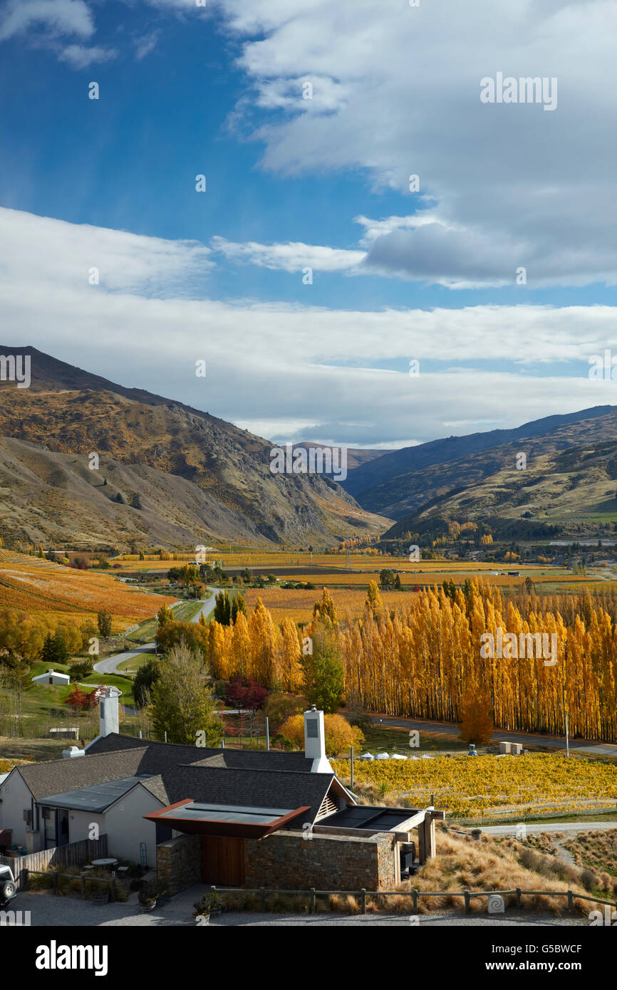 Mt difficulty winery hi-res stock photography and images - Alamy