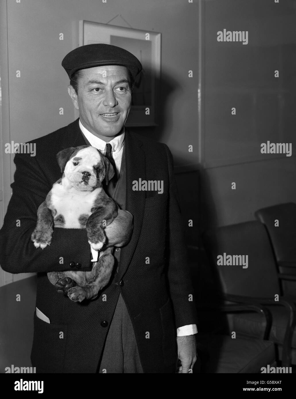 American actor and singer Tony Martin, his new bulldog pup "Boozer" in ...