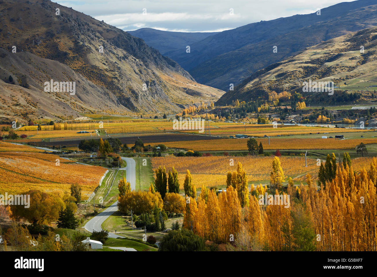 Autumn Colours, Felton Road, Bannockburn, near Cromwell, and Kawarau ...