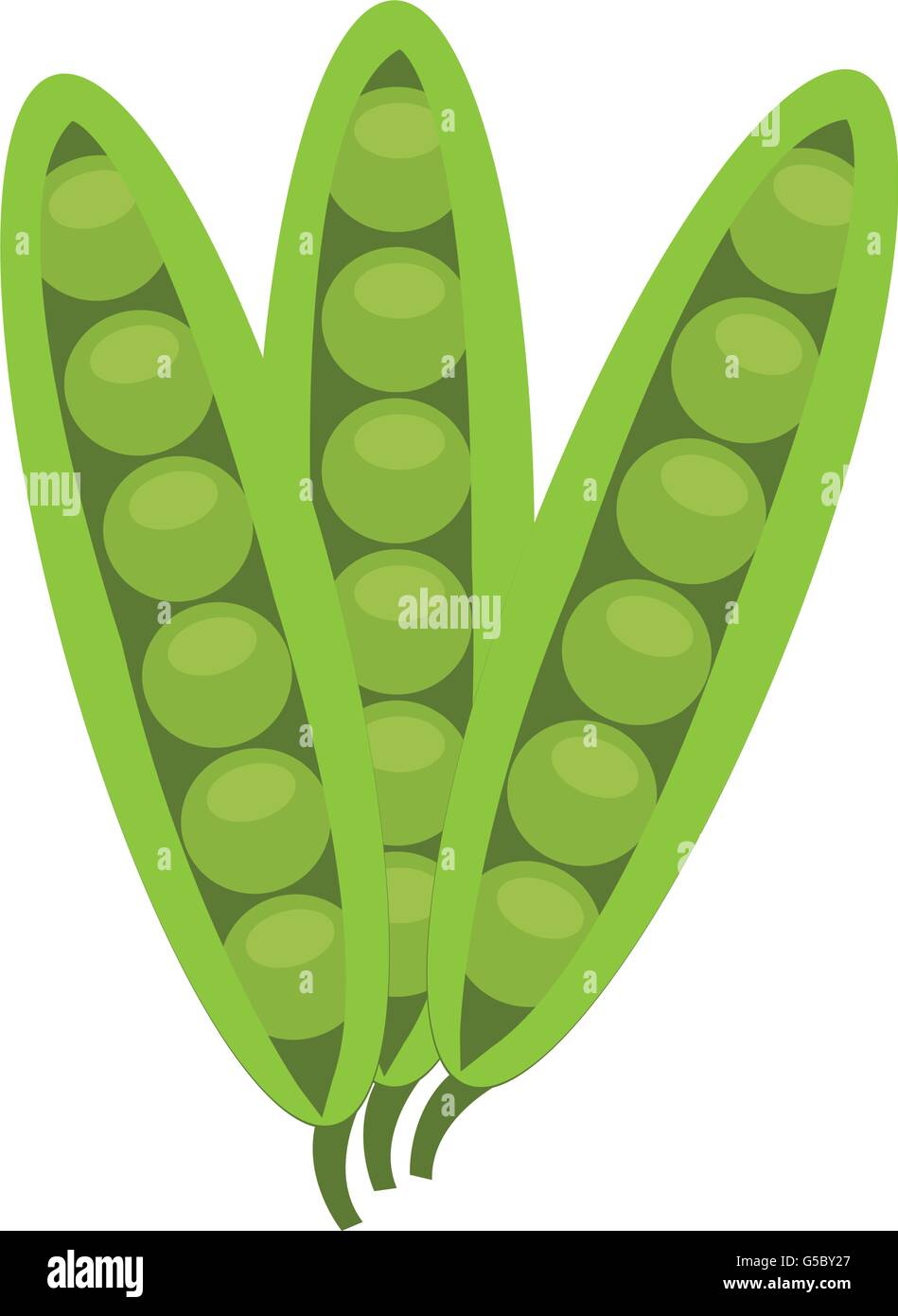Common beans farm Stock Vector Images - Alamy