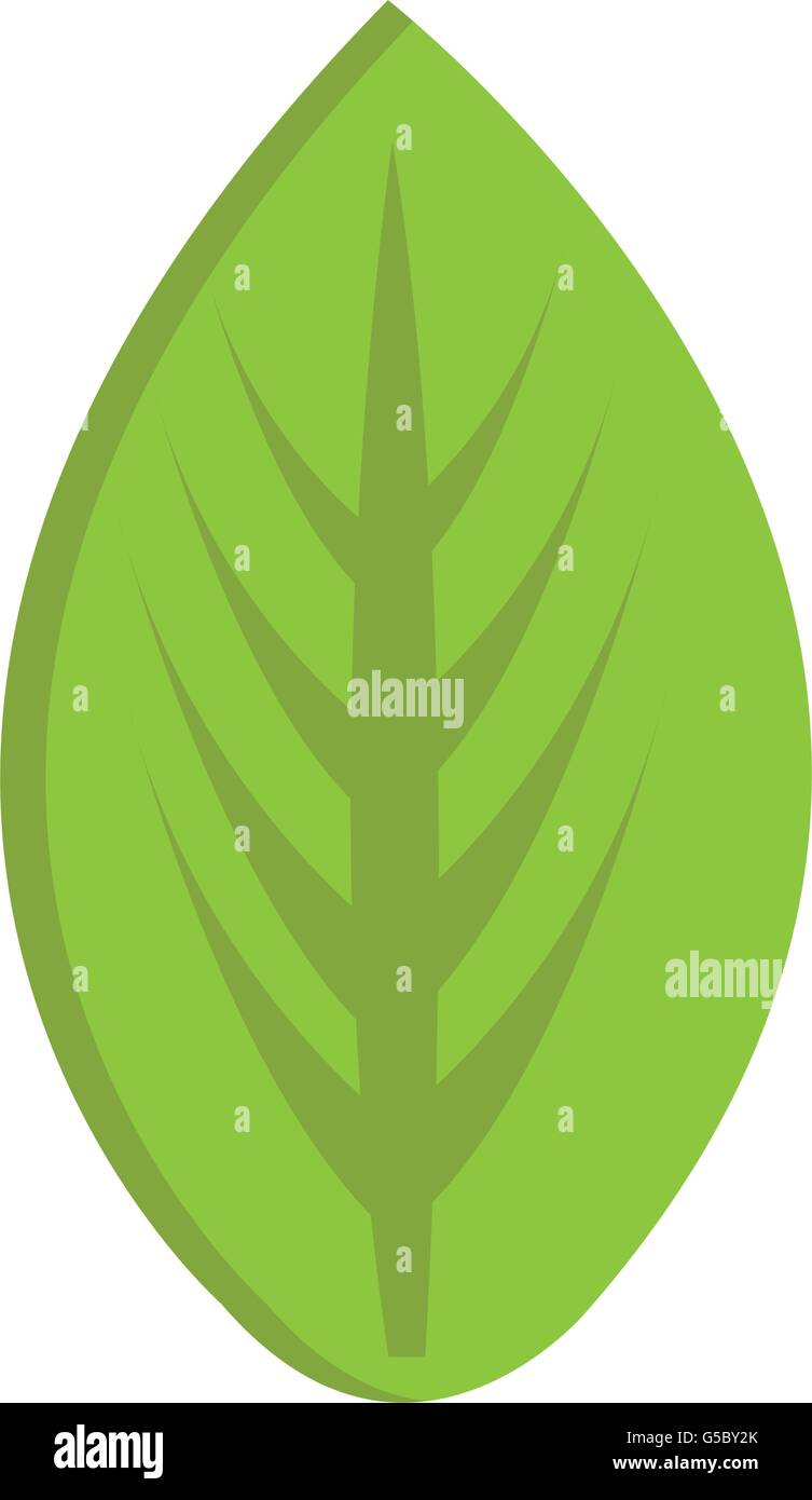 green tree leaves,vector graphic Stock Vector Image & Art - Alamy