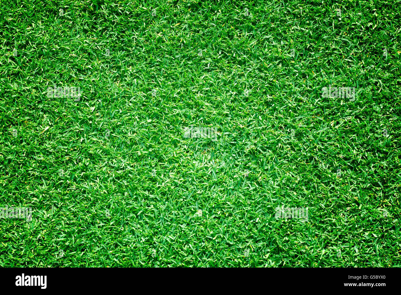 Golf Courses green lawn pattern textured background Stock Photo - Alamy